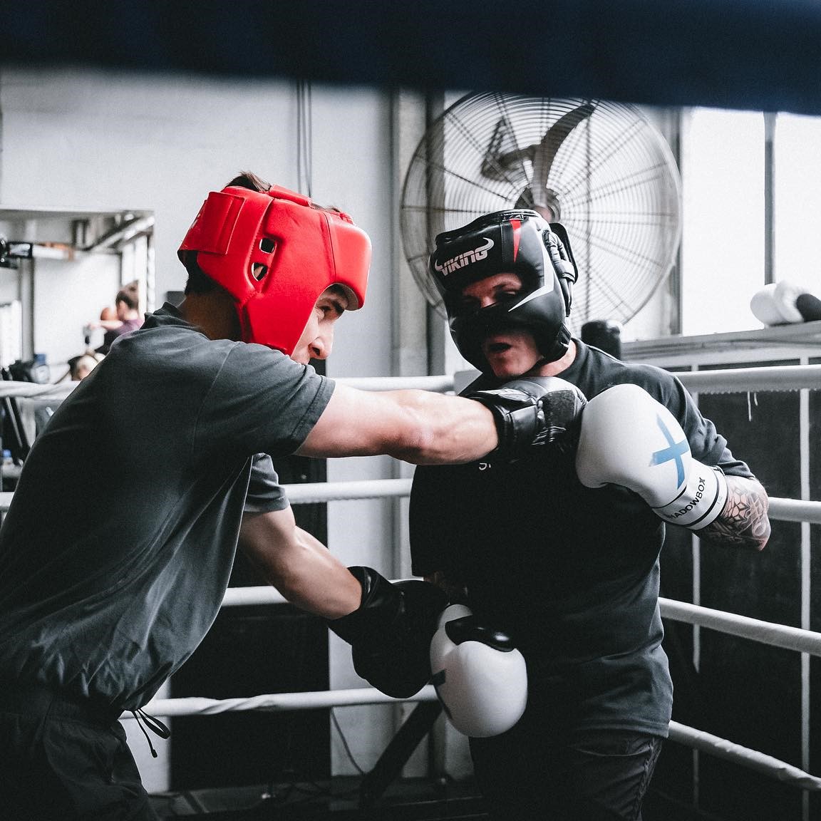 Sydney Contender | Camp Quality